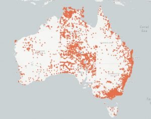 Dingo - the largest carnivore in Australia - Travel Spiced Life